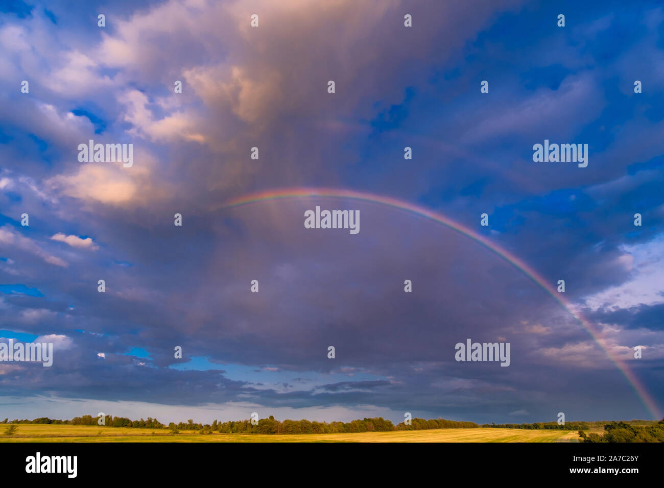 Rainbow Sky Arch on a dramatic stormy sky over yellow fields. A magical ...