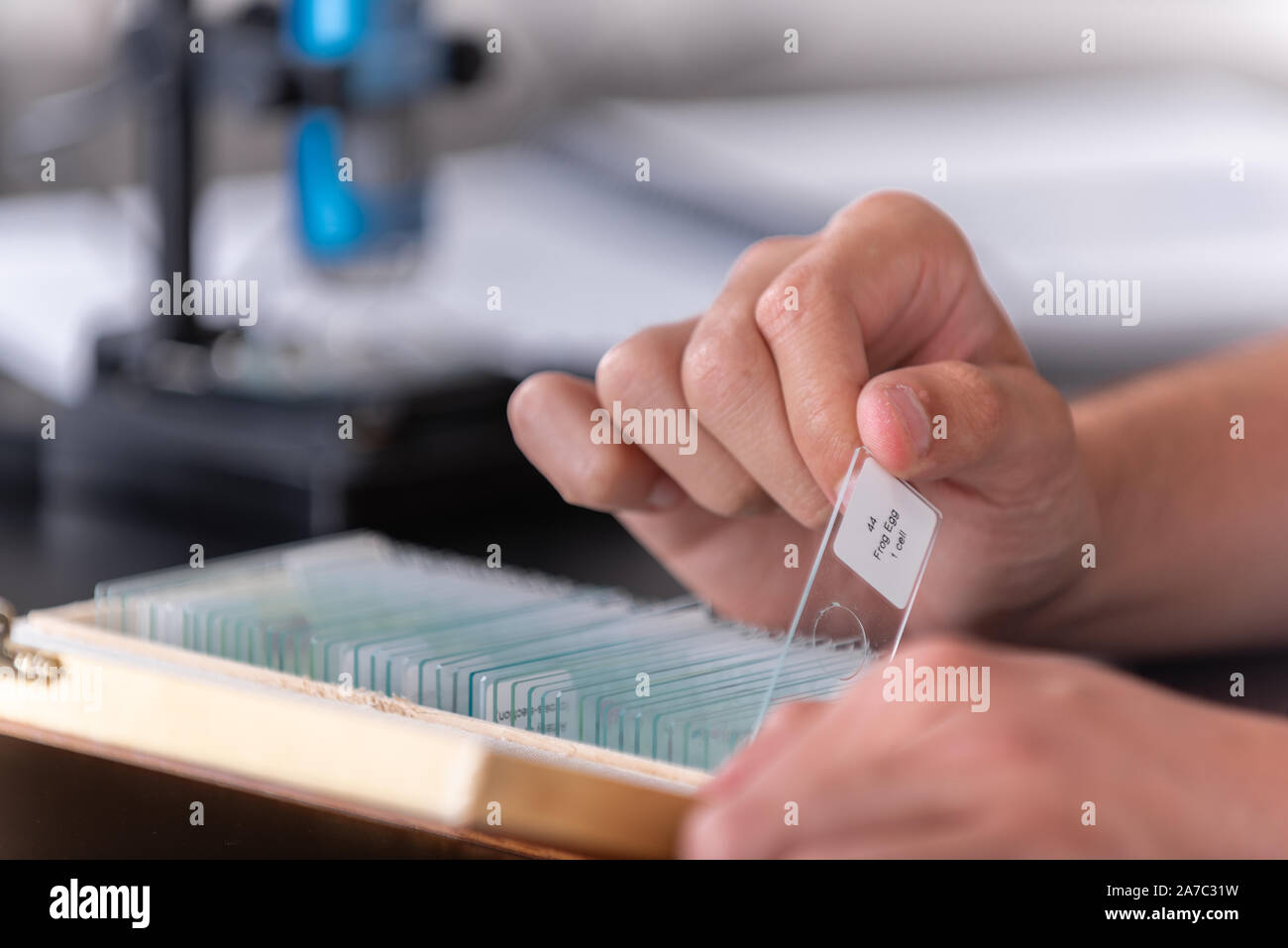 Microscope slides hi-res stock photography and images - Alamy