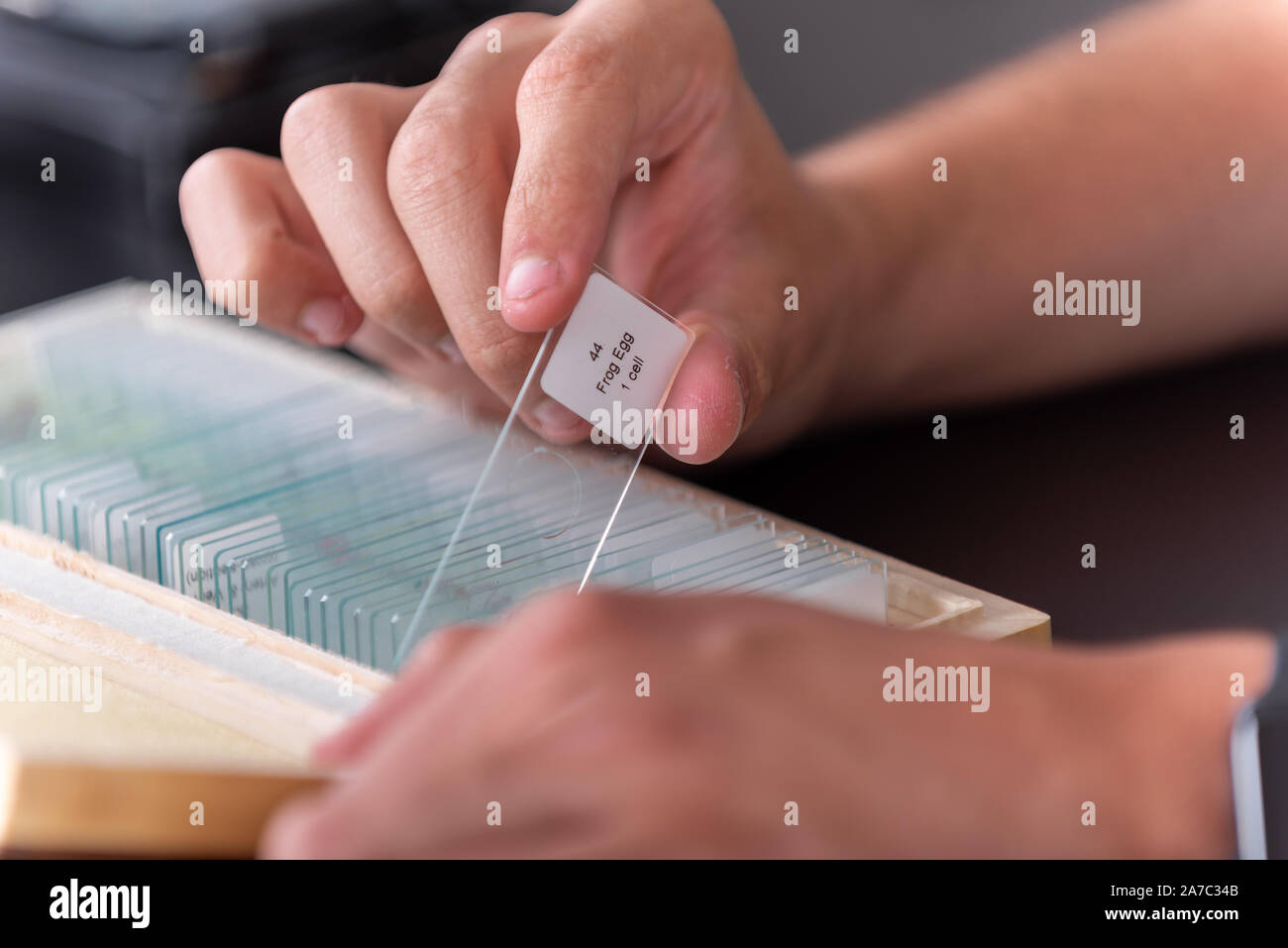 Microscope slides hi-res stock photography and images - Alamy