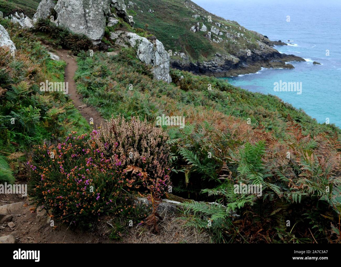Hellesveor cliff cornwall hi-res stock photography and images - Alamy