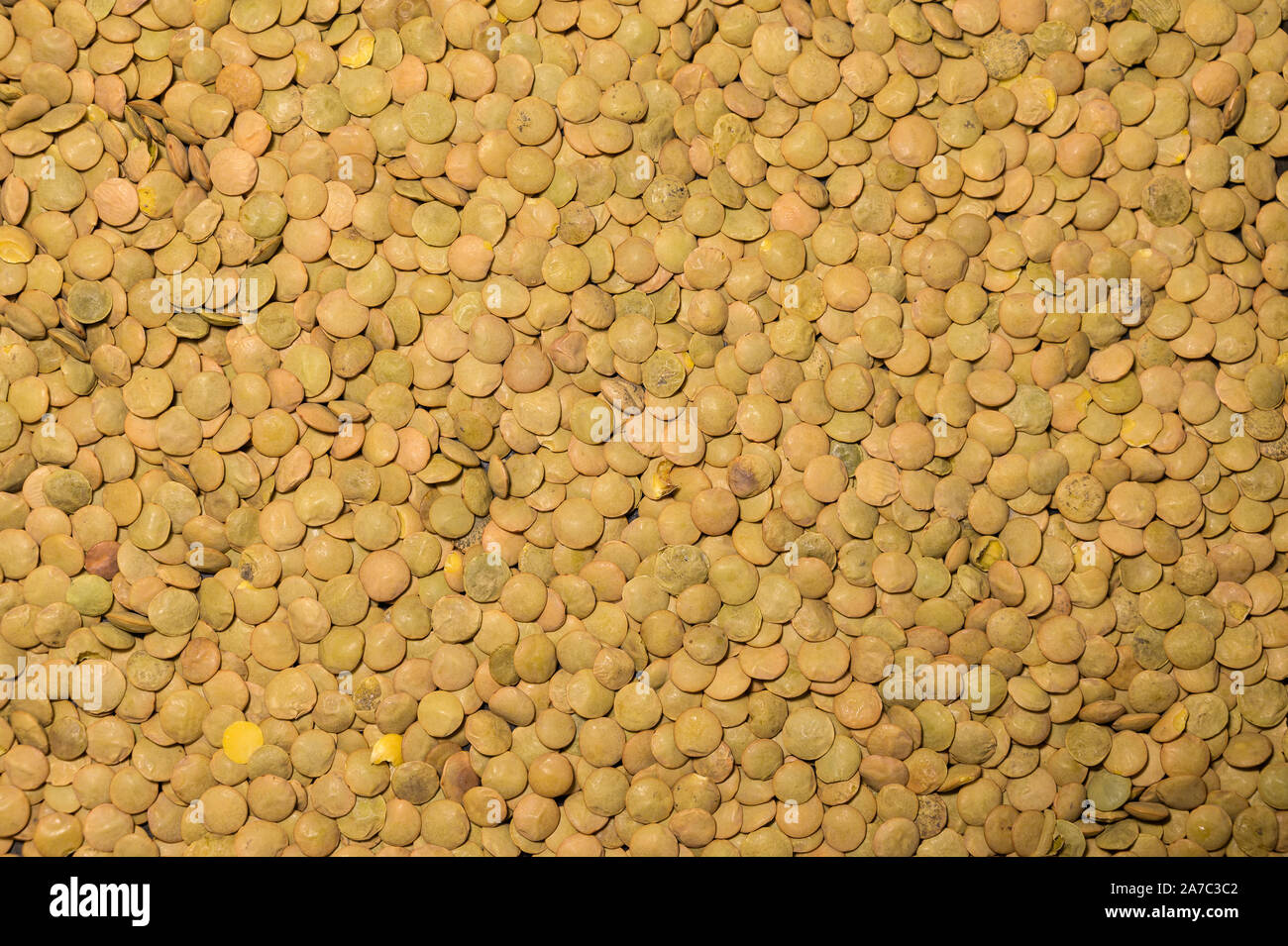 Closeup lentils seeds as natural background Stock Photo - Alamy