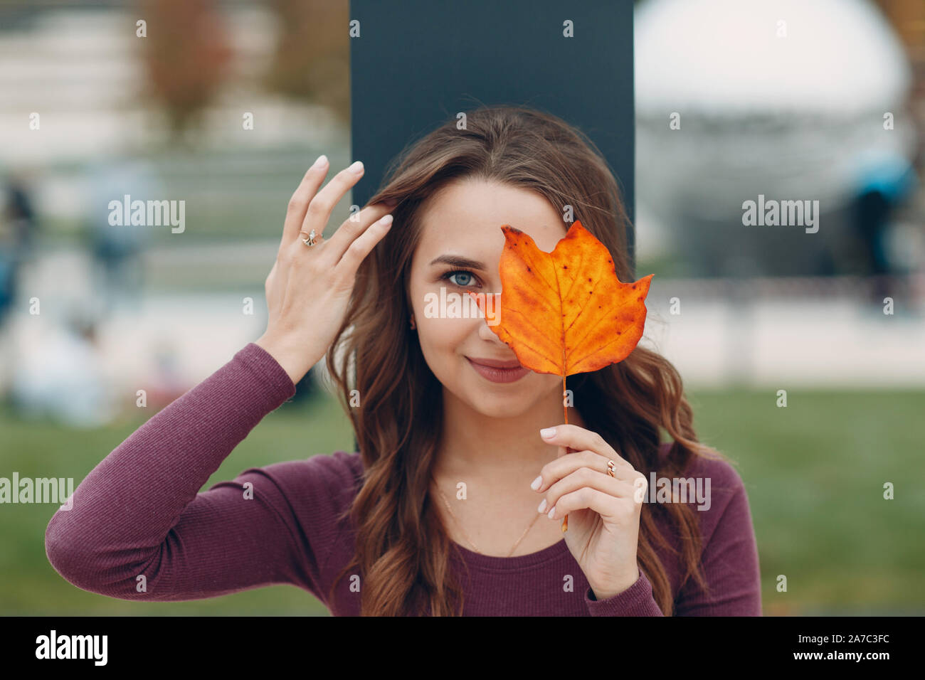 Leaf model hi-res stock photography and images - Alamy