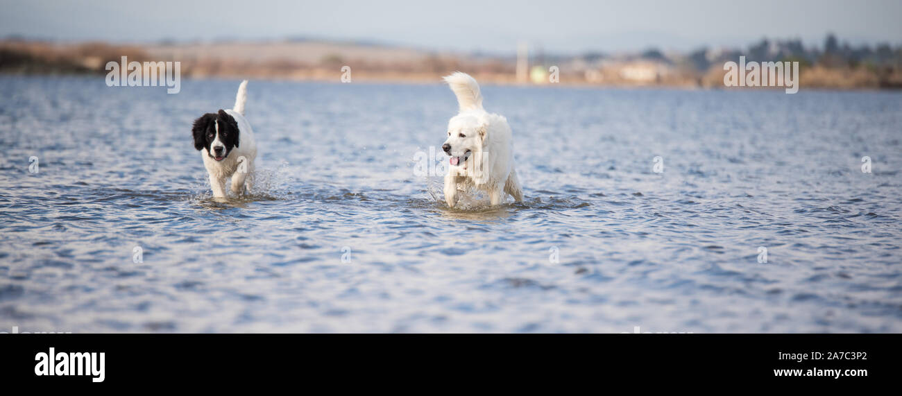 Podhale growth curve hi-res stock photography and images - Alamy