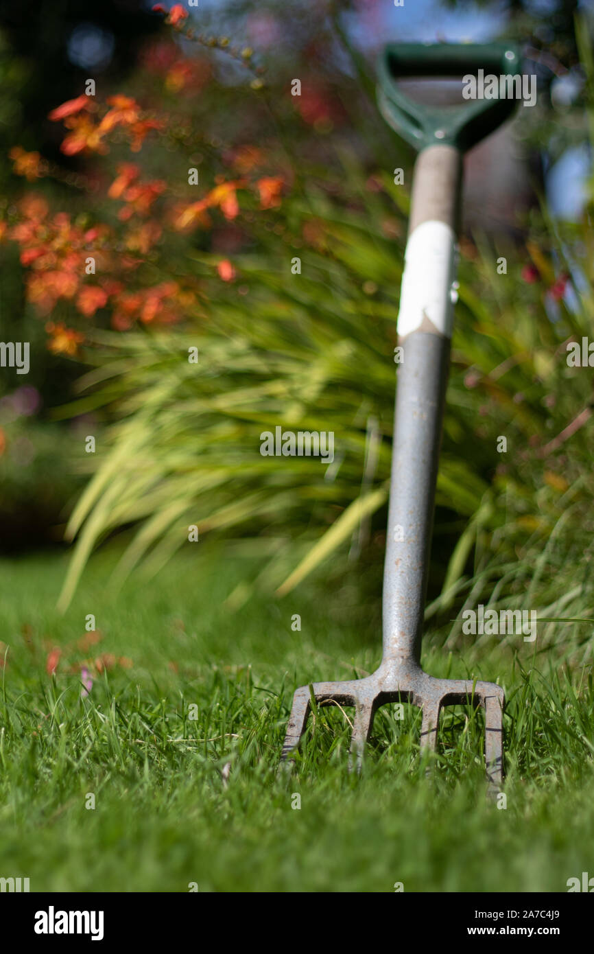 garden fork stuck into a lawn in an English Country garden. Orange ...