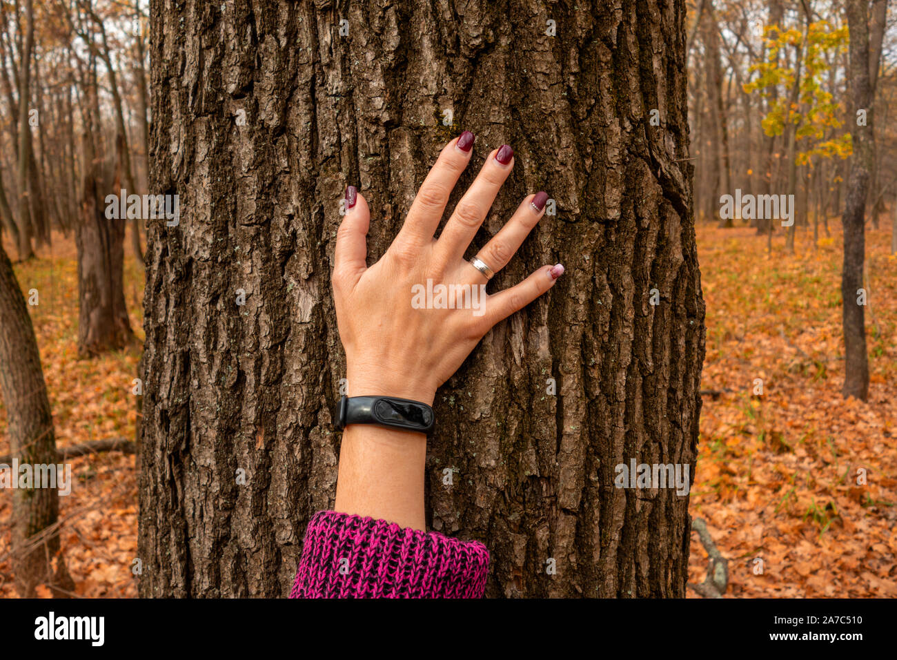 Unity nature hi-res stock photography and images - Alamy