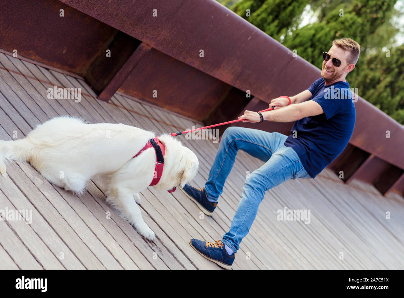 Pulling the dog hi-res stock photography and images - Alamy