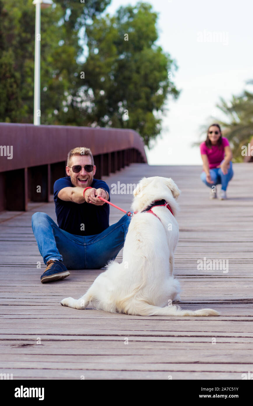 man pulling his dog because he doesn't want to walk. White dog in the ...