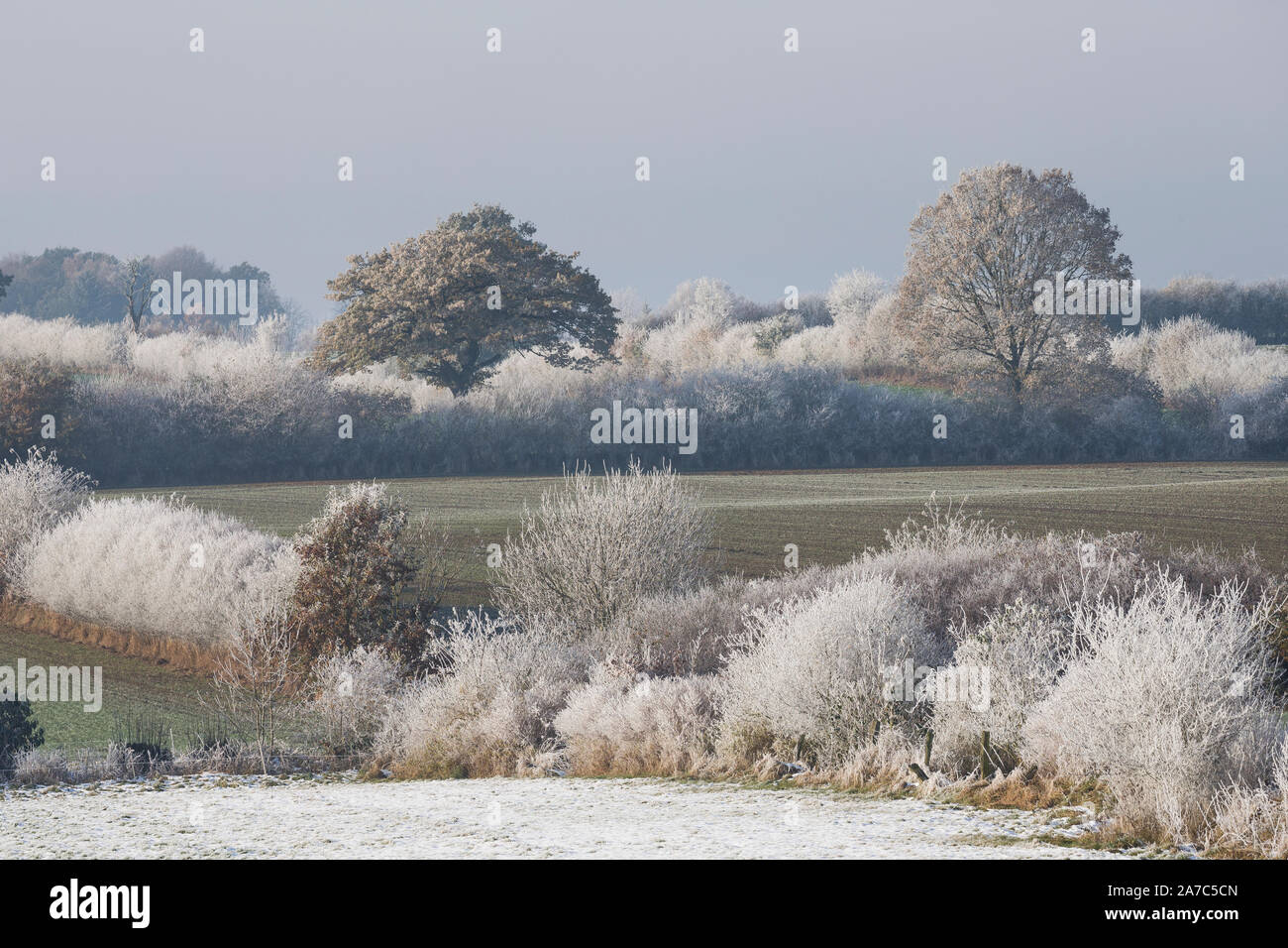 Knicklandschaft hi-res stock photography and images - Alamy