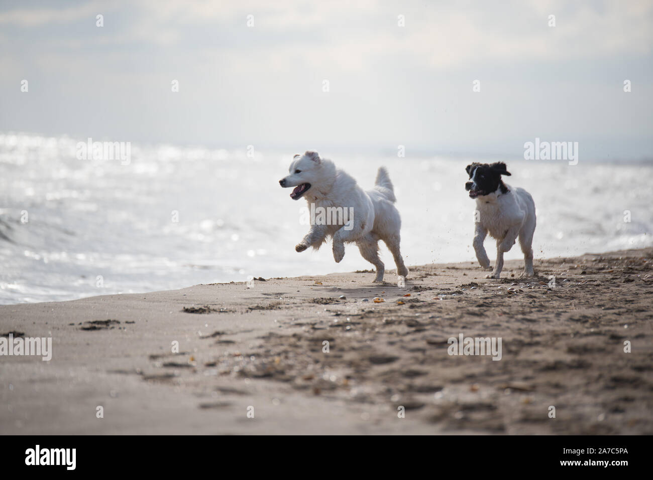 Polish shepherd of podhale character hi-res stock photography and ...