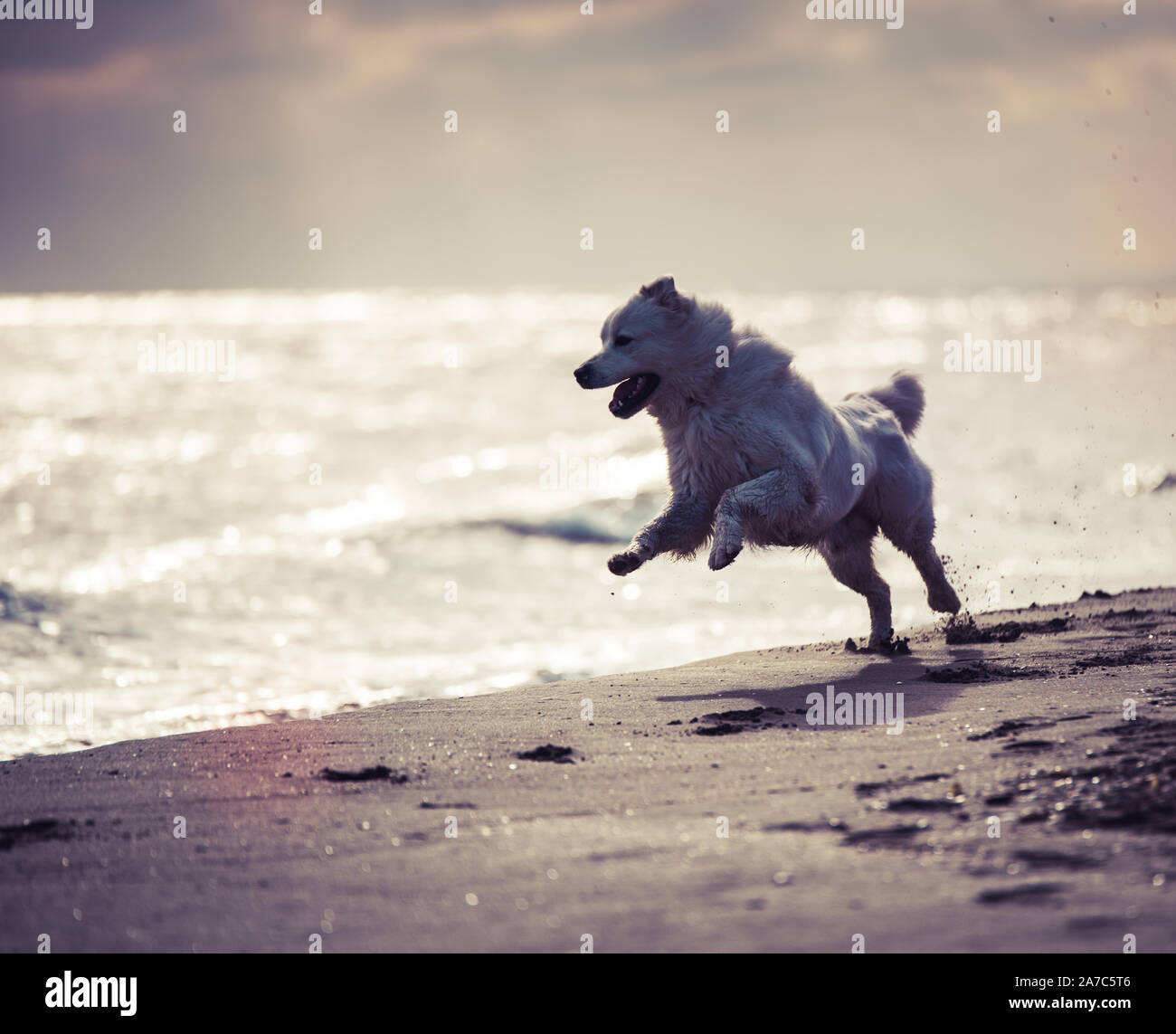 Polish shepherd of podhale character hi-res stock photography and ...