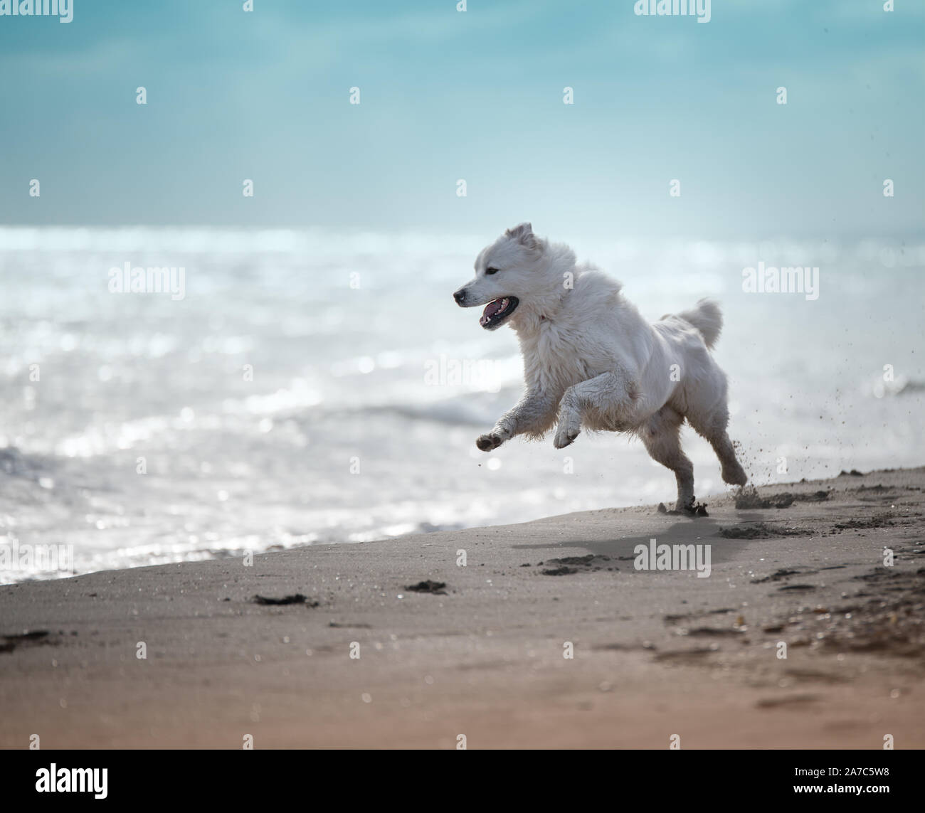 Shepherd of podhale character hi-res stock photography and images - Alamy