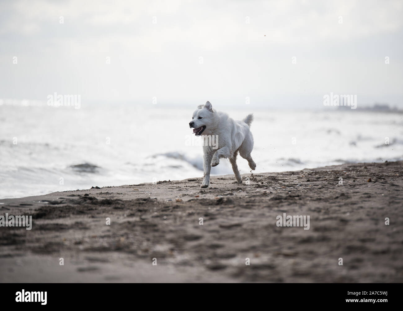 Polish shepherd of podhale character hi-res stock photography and ...
