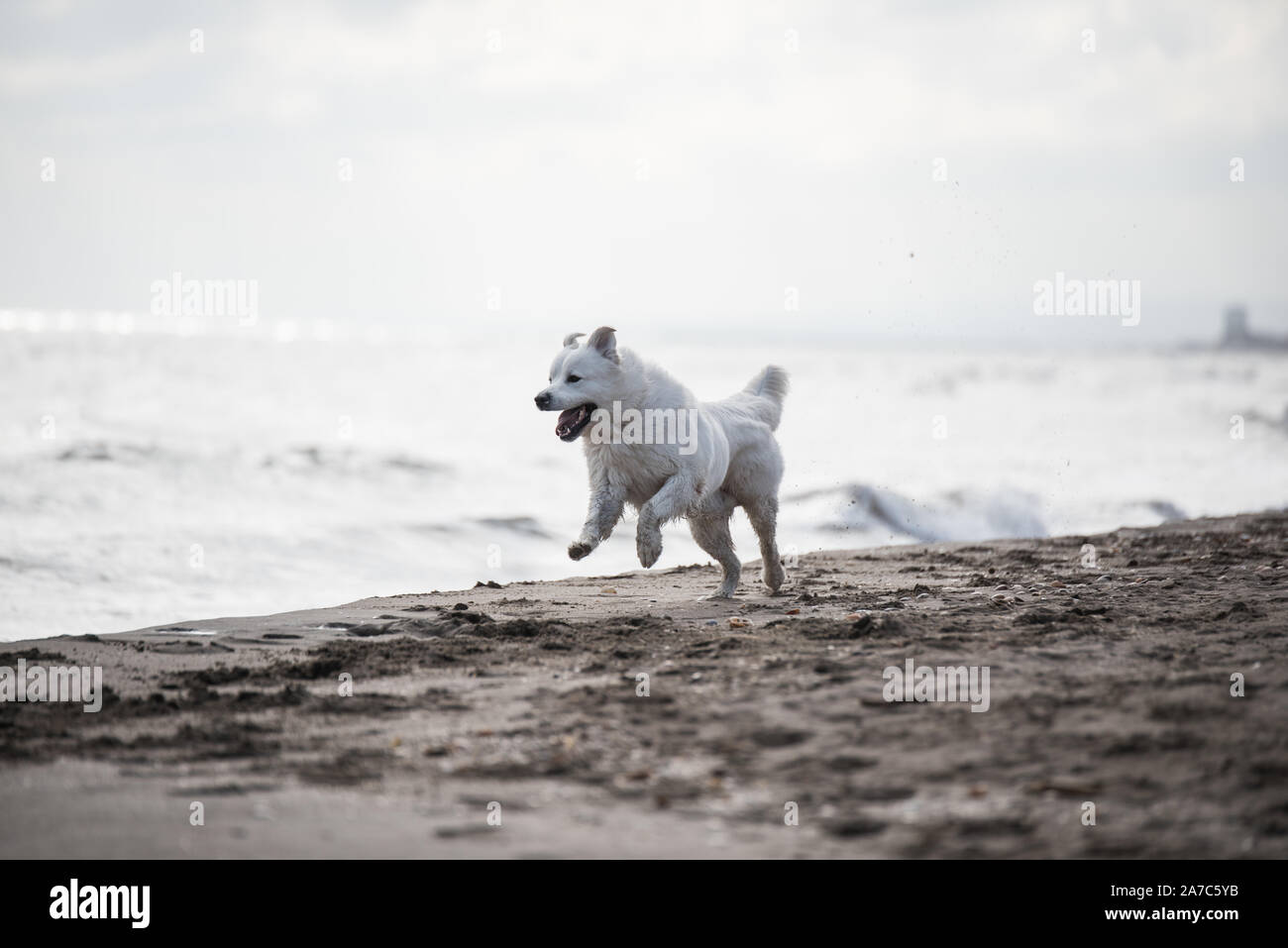 Podhale growth curve hi-res stock photography and images - Alamy