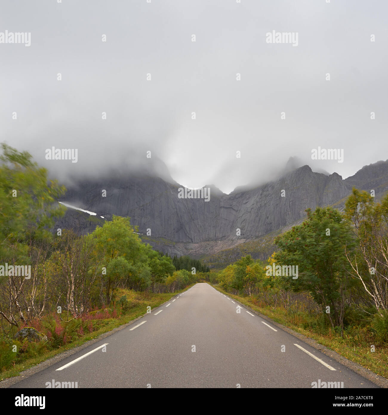 This road leads to a small fjord in the lofoten. In background are mist ...