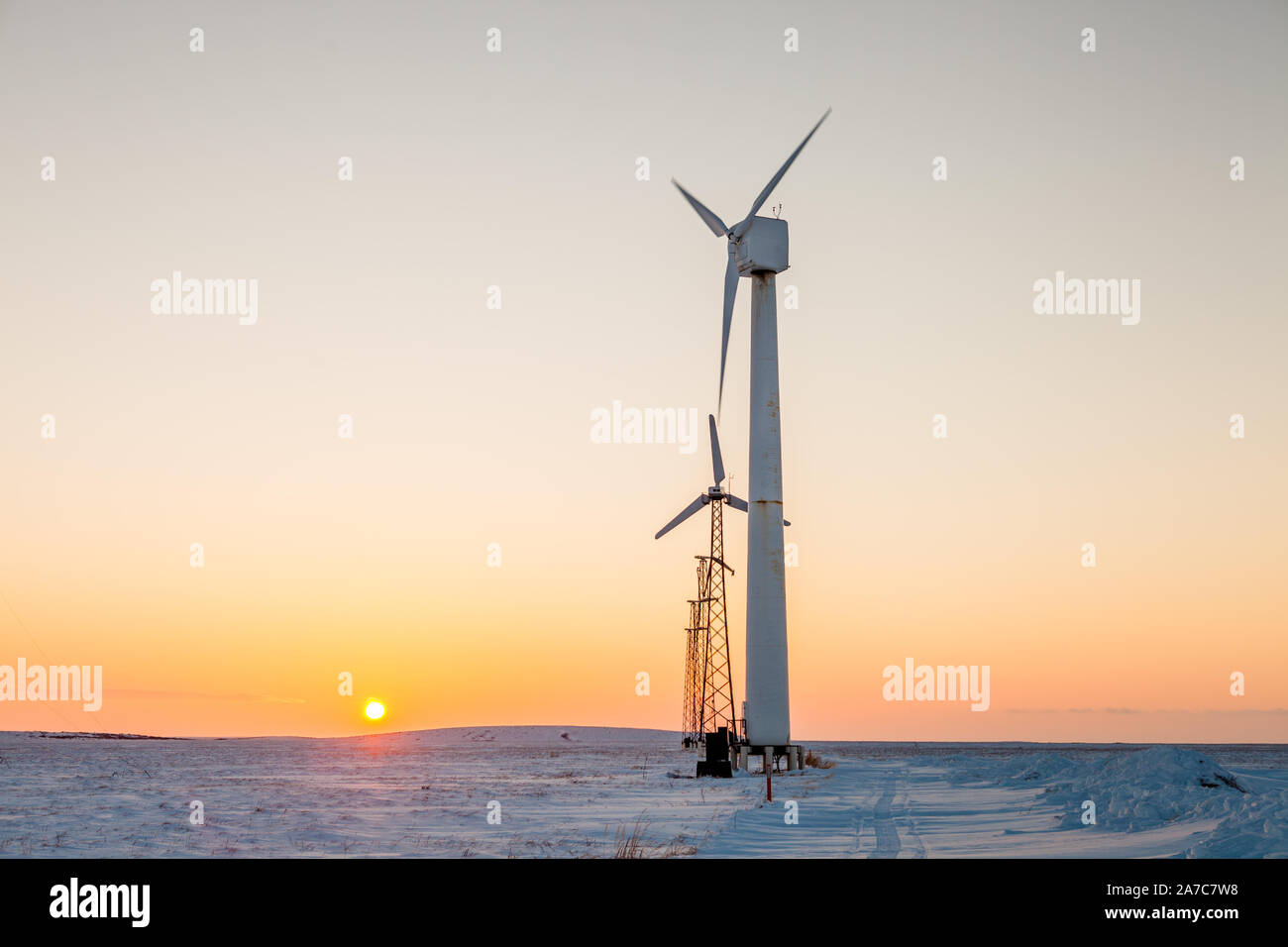 Tundra snow wind hi-res stock photography and images - Alamy