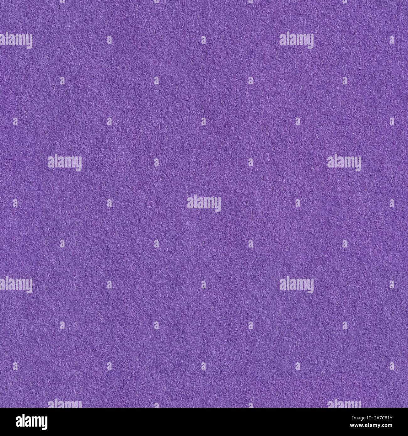 Empty lilac background hi-res stock photography and images - Alamy
