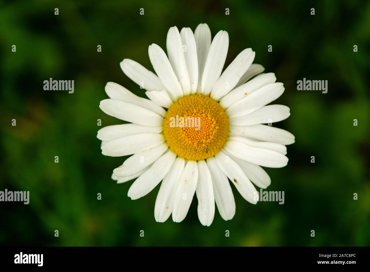 Captured from above hi-res stock photography and images - Alamy