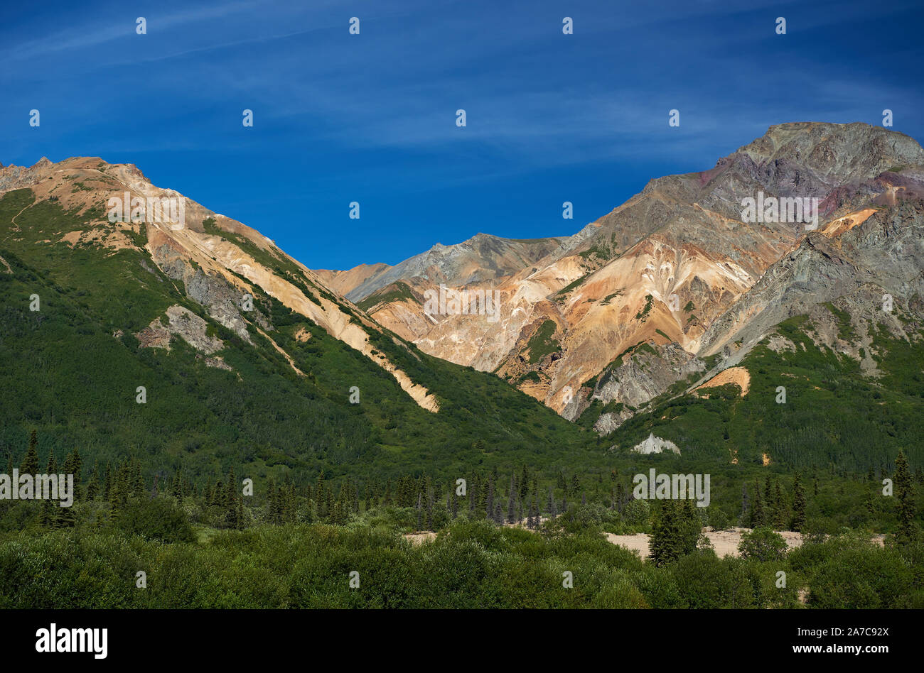 Mineralized tree hi-res stock photography and images - Alamy