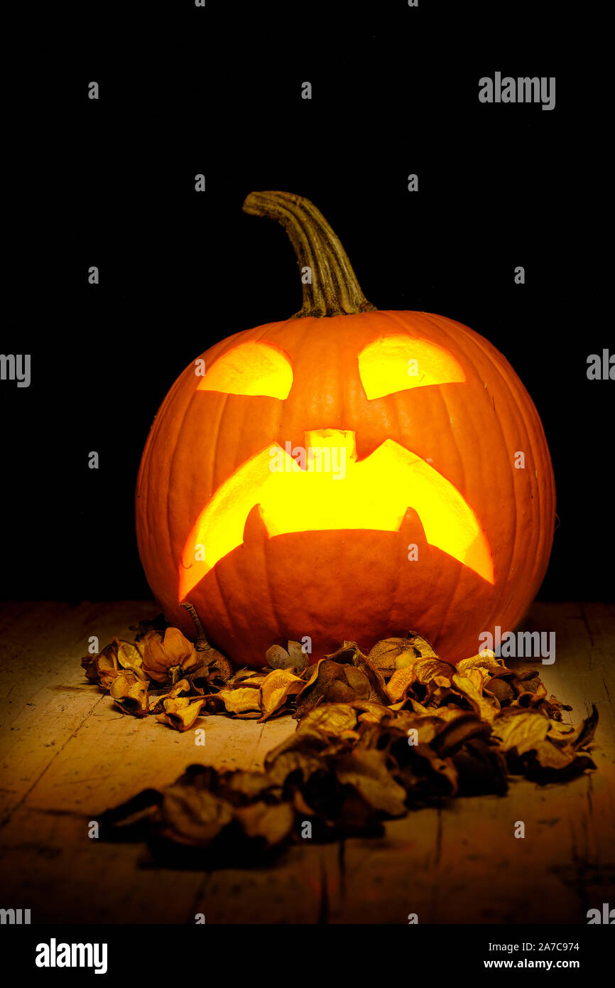 Afraid Pumpkin Faces