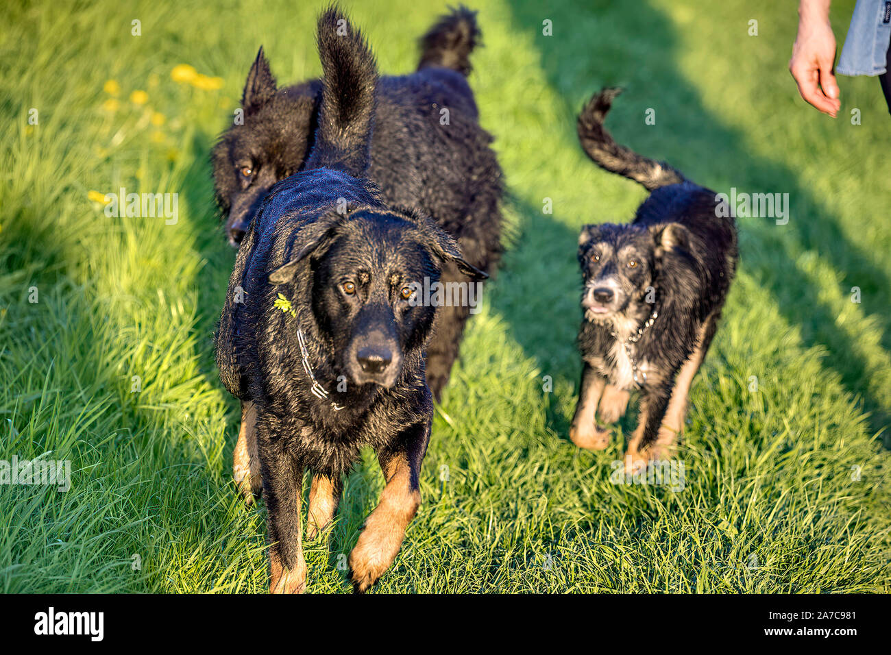 Three black woman hi-res stock photography and images - Alamy