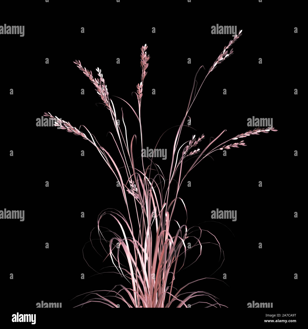 3d illustration seamless grass texture hi-res stock photography and ...
