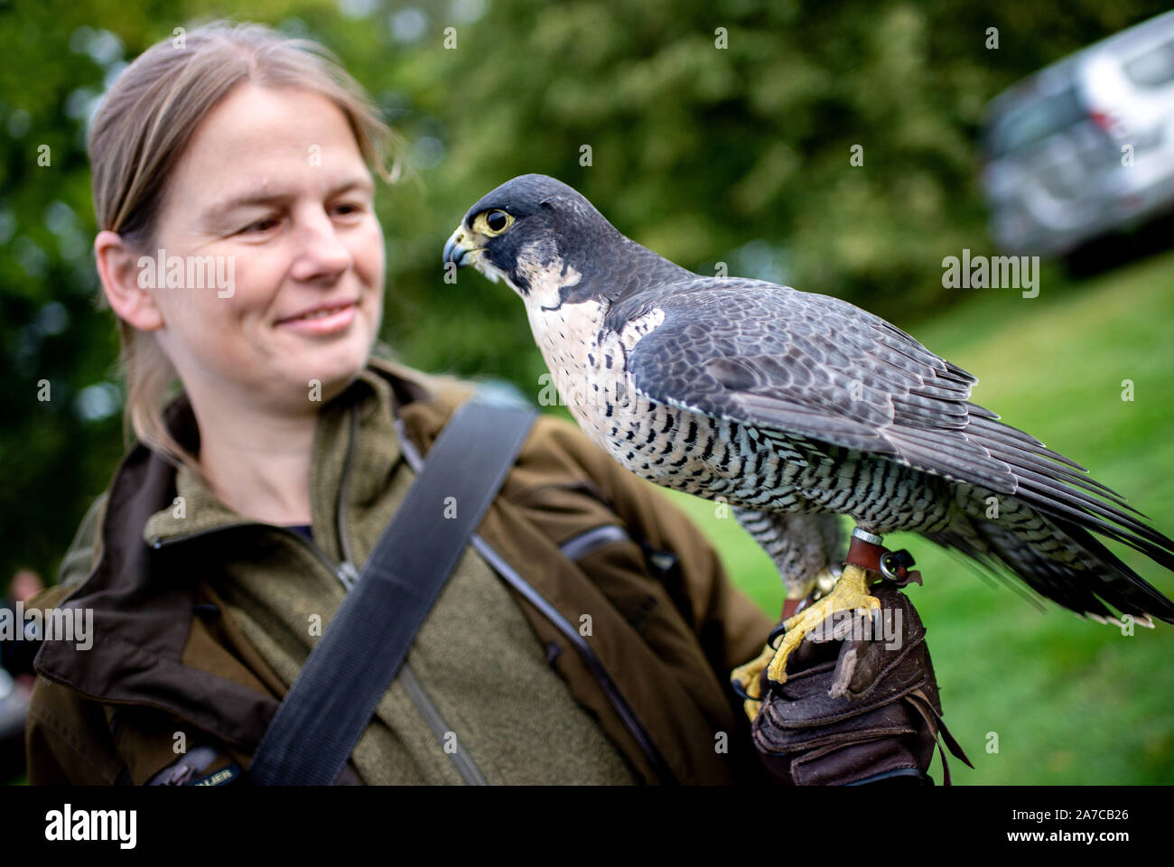 Liebenau, Germany. 26th Oct, 2019. Anke Bormann, falconer from Seelze ...