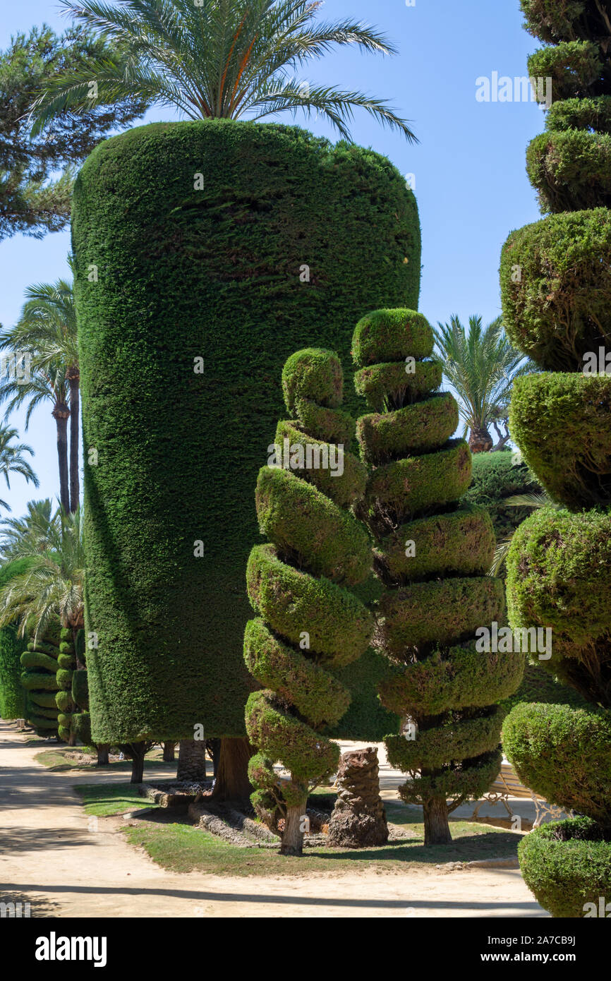 Sculpted trees in different forms in old public park, Genoves park in ...
