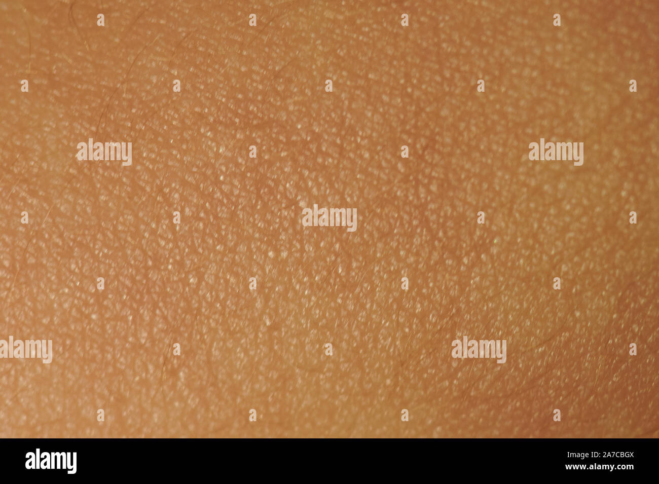 Texture of dark brown skin background. Yellow human skin surface Stock ...