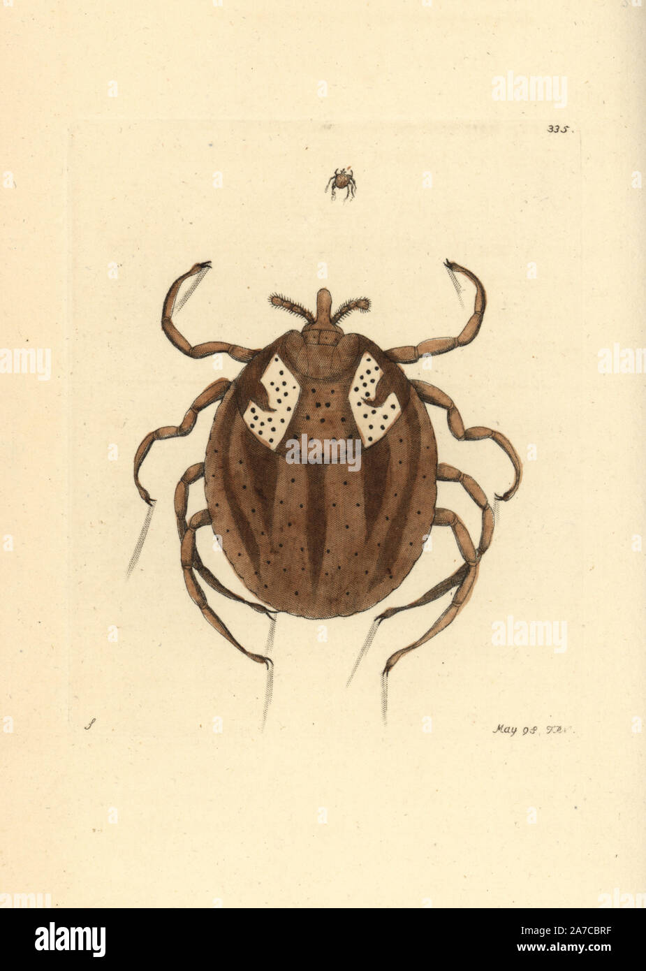 Frederick nodder hi-res stock photography and images - Alamy