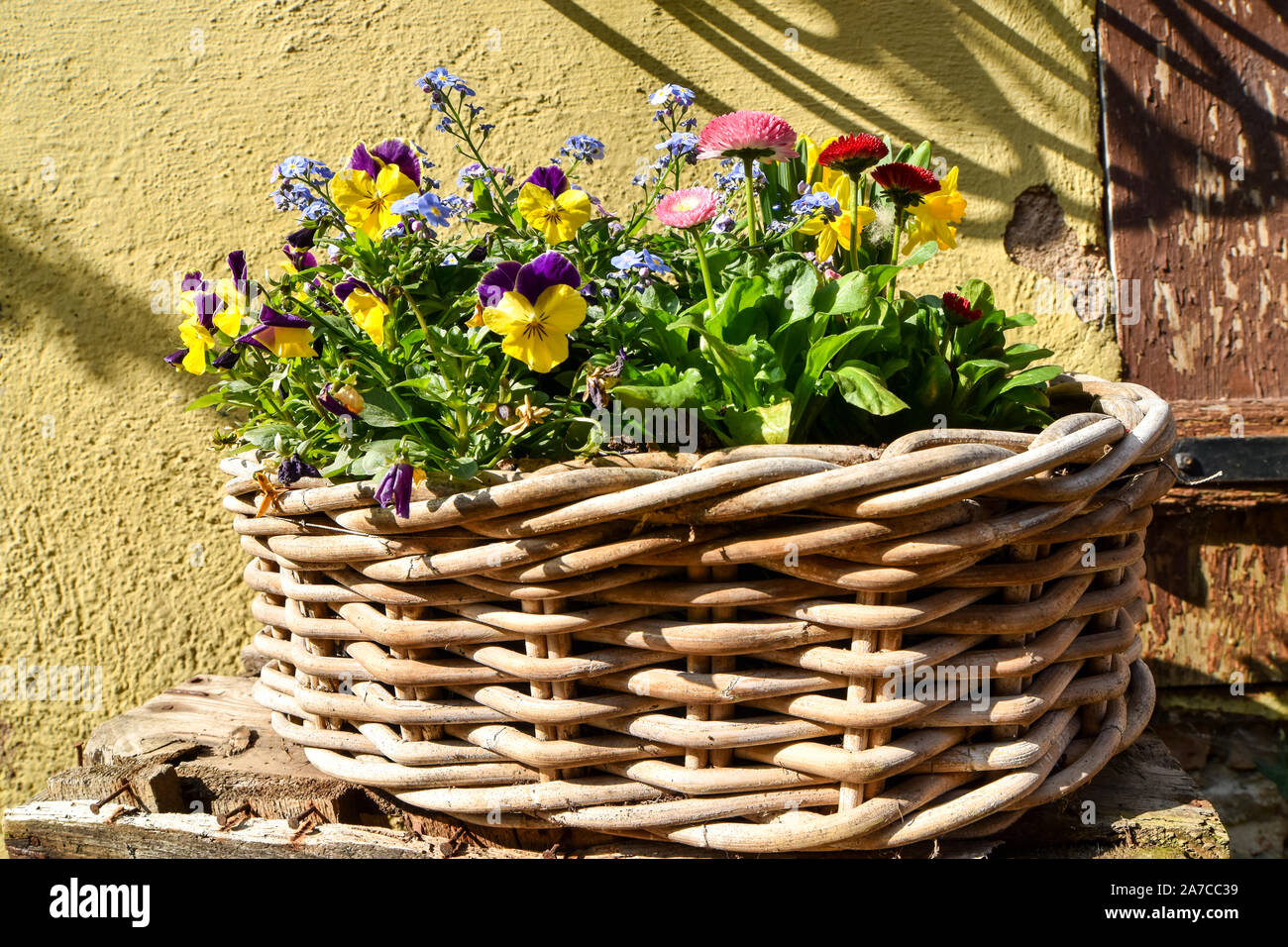Bouquet of spring flowers in basket Stock Photo - Alamy