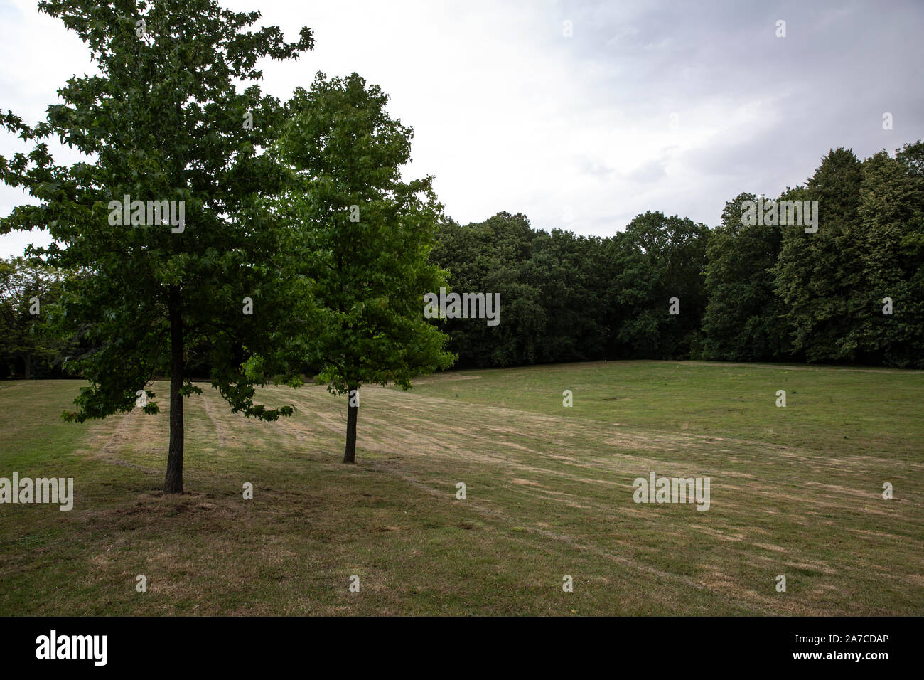 The near empty offices at car giant Ford UK Warley headquarters in ...