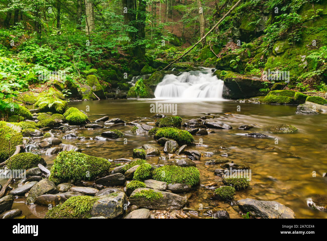 Landscape of beautiful waterfall deep in the forest Stock Photo - Alamy