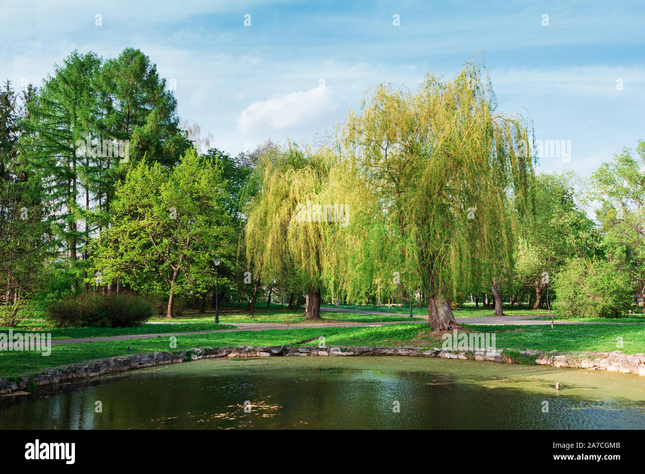 Landscape in city park with lake. Spring background Stock Photo - Alamy