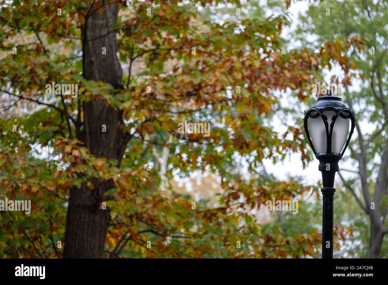 A lamp post in Central Park in the fall, New York Stock Photo - Alamy
