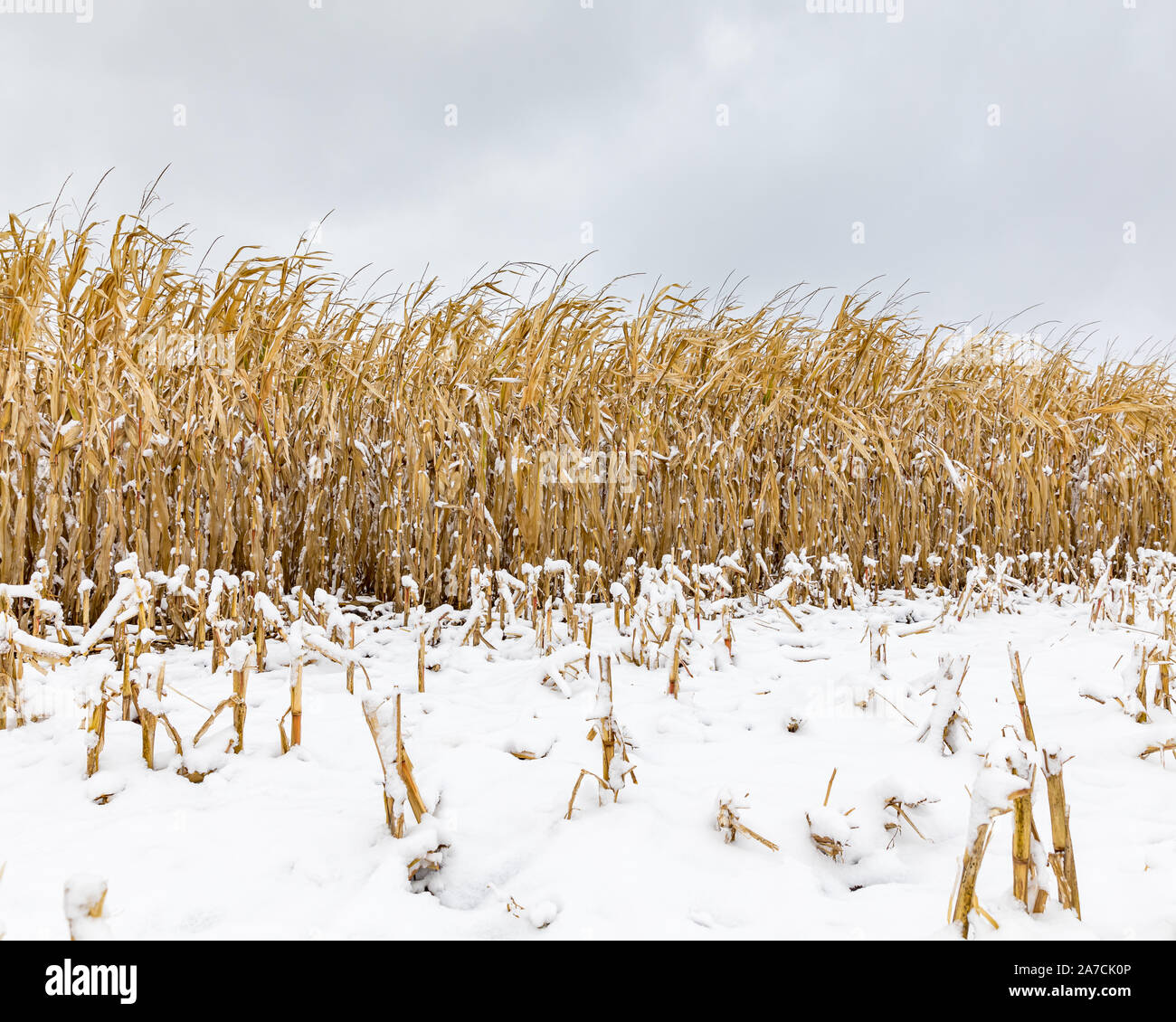 Illinois central hi-res stock photography and images - Alamy
