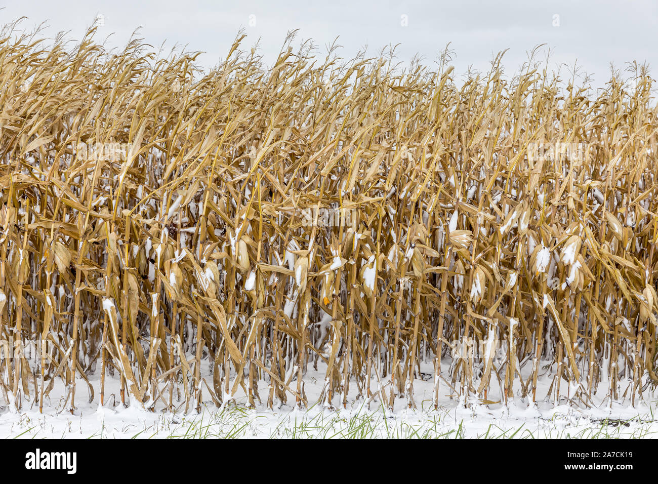 Illinois central hi-res stock photography and images - Alamy