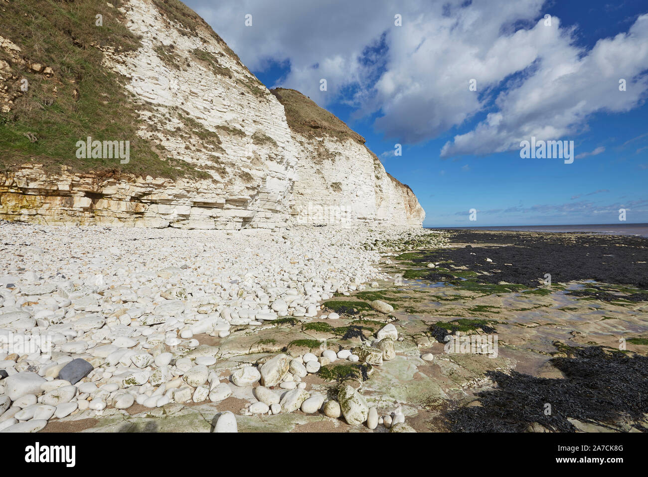White cliffs of yorkshire hi-res stock photography and images - Alamy