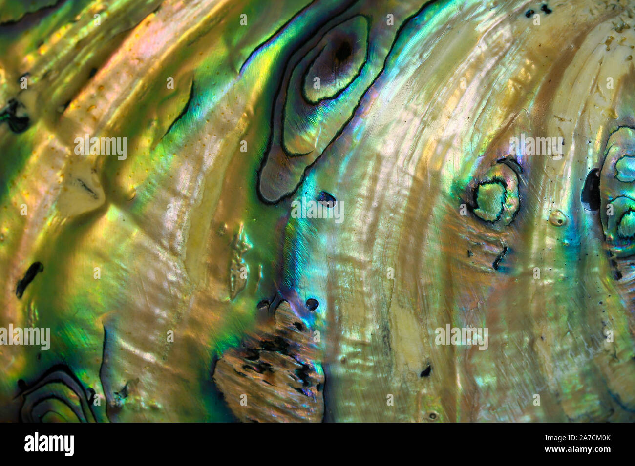 Abstract background of extreme close up of the rainbow of colors in an ...