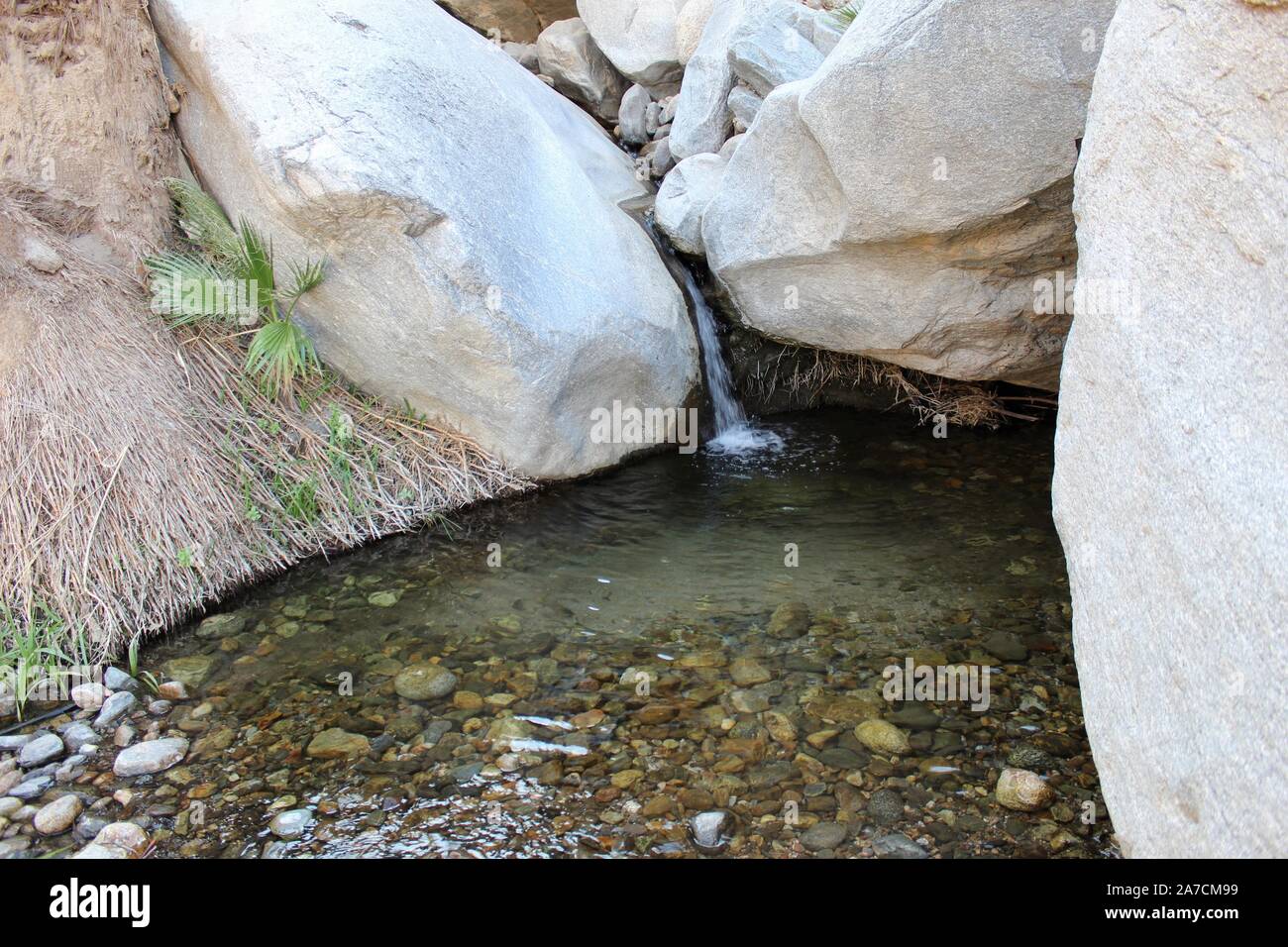 Rare waterfalls in the Colorado Desert, this one feeding Palm Canyon ...