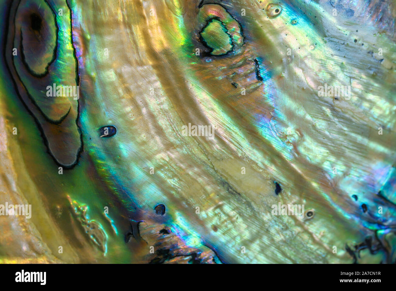 Abstract background of extreme close up of the rainbow of colors in an ...