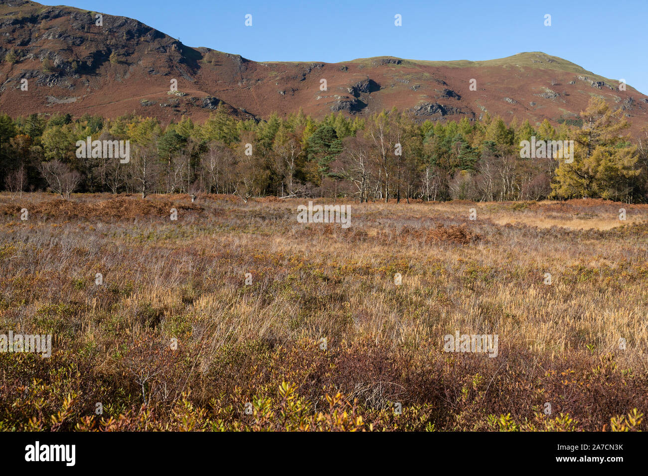 The hills forming Cat Bells, above Derwent Water in the Lake District ...