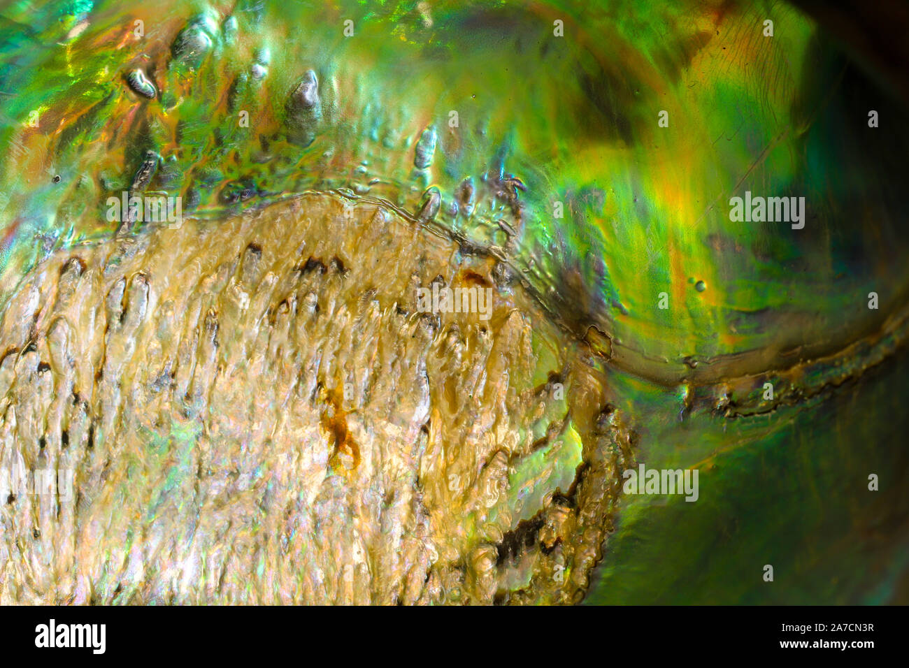 Abstract background of extreme close up of the rainbow of colors in an ...