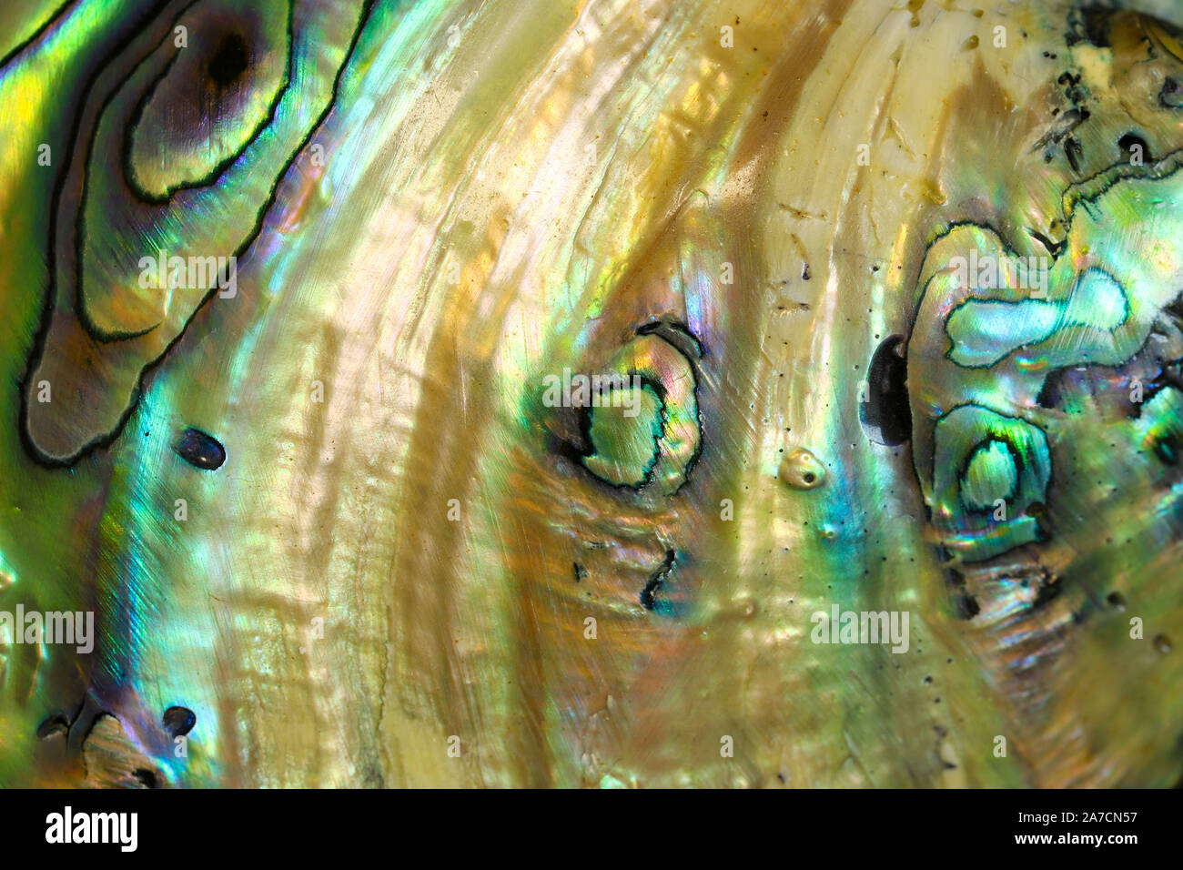 Abstract background of extreme close up of the rainbow of colors in an ...