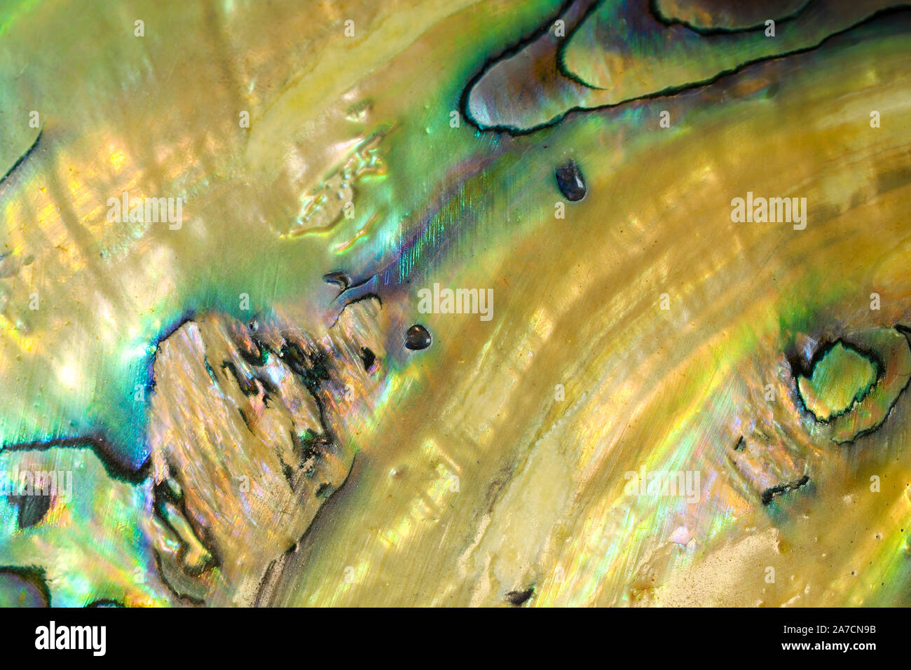 Abstract background of extreme close up of the rainbow of colors in an ...