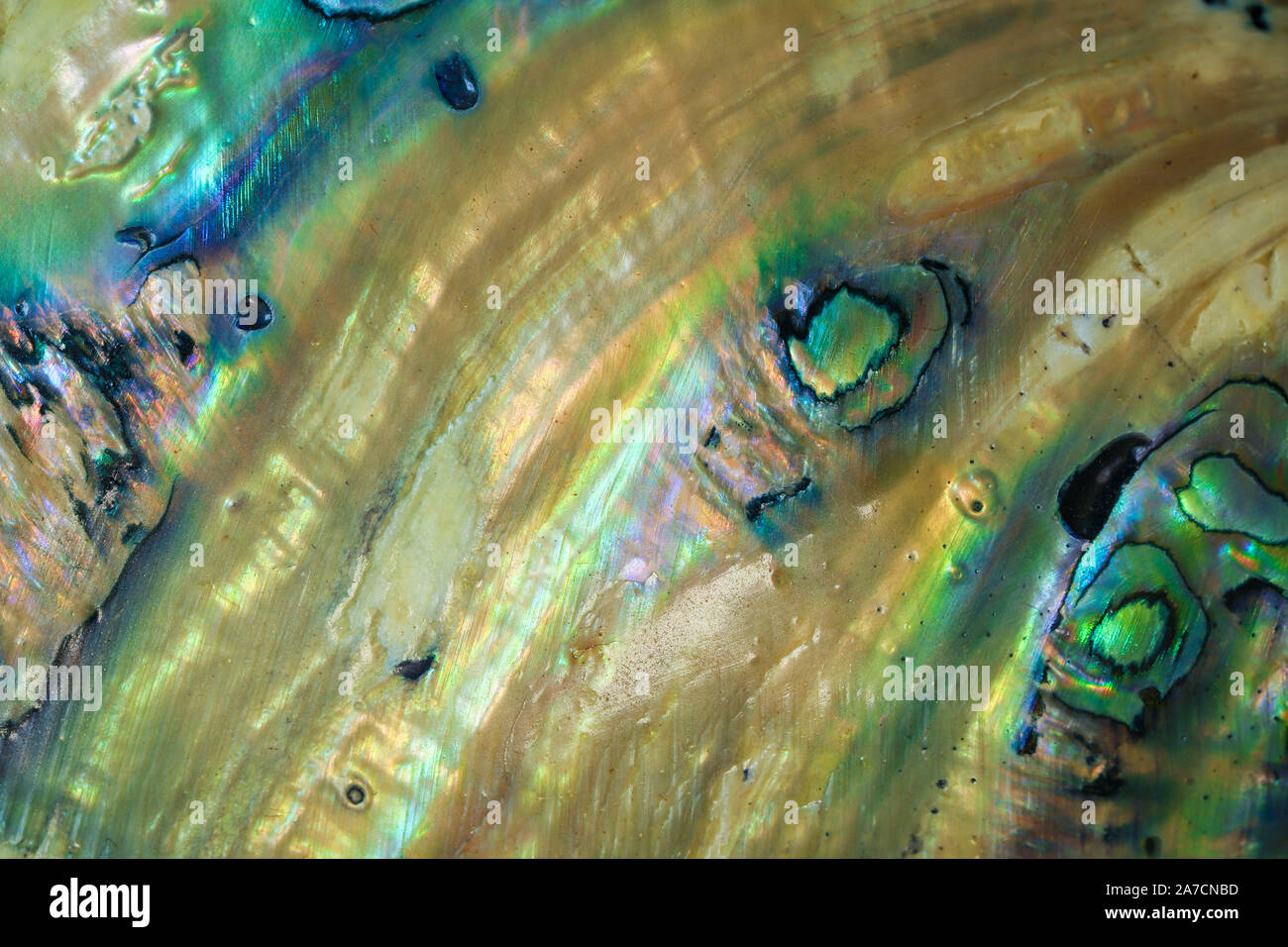 Abstract background of extreme close up of the rainbow of colors in an ...