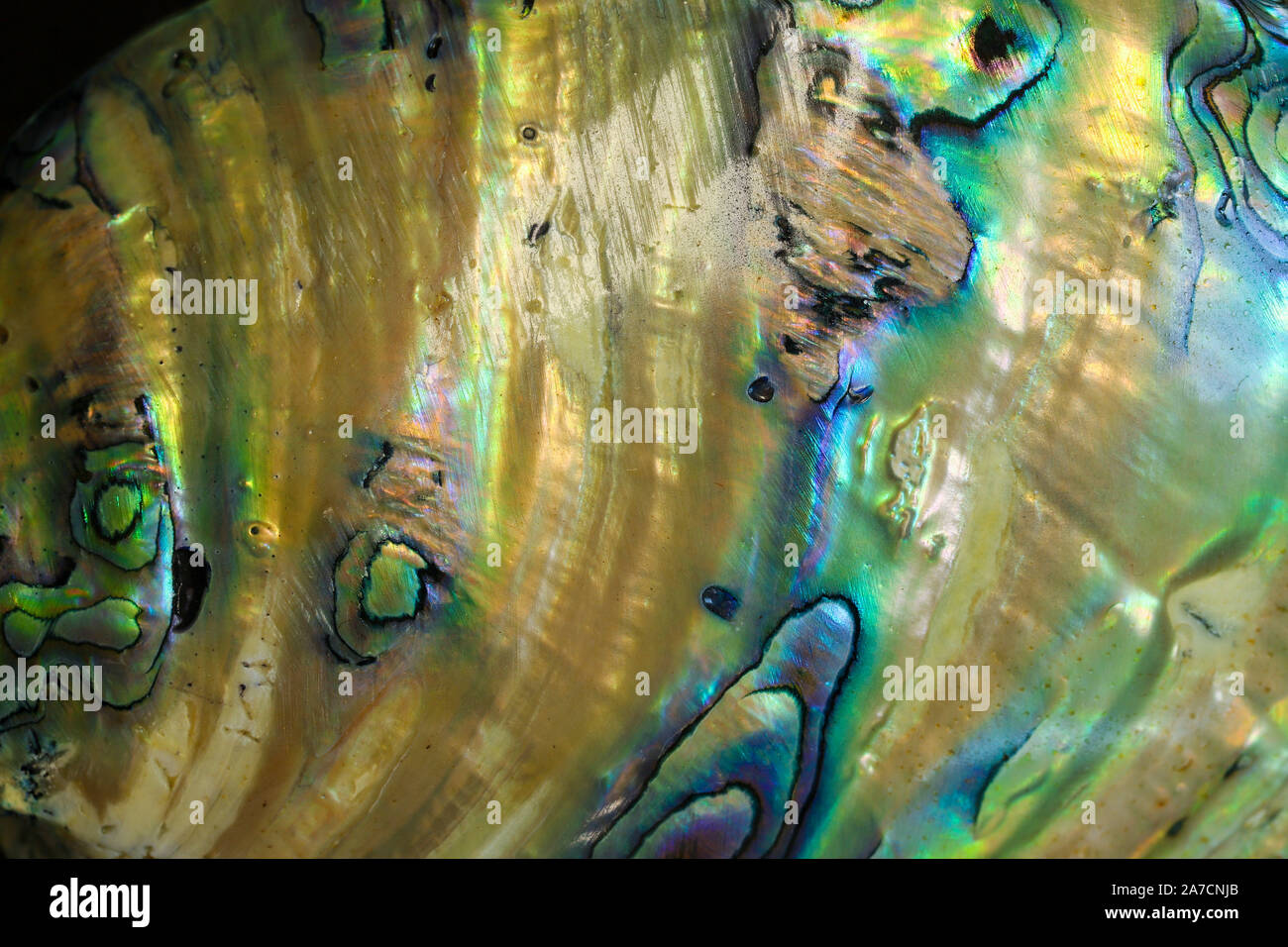 Abstract background of extreme close up of the rainbow of colors in an ...
