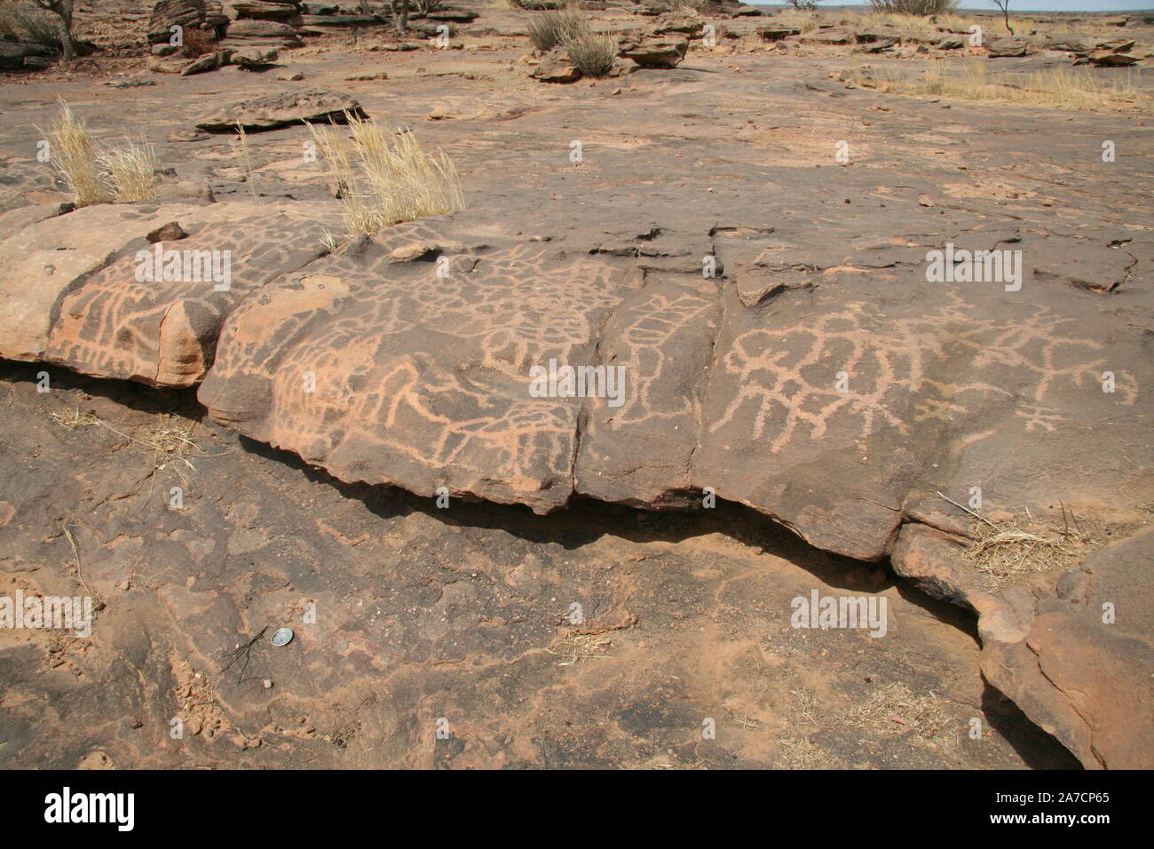 Kamba hi-res stock photography and images - Alamy