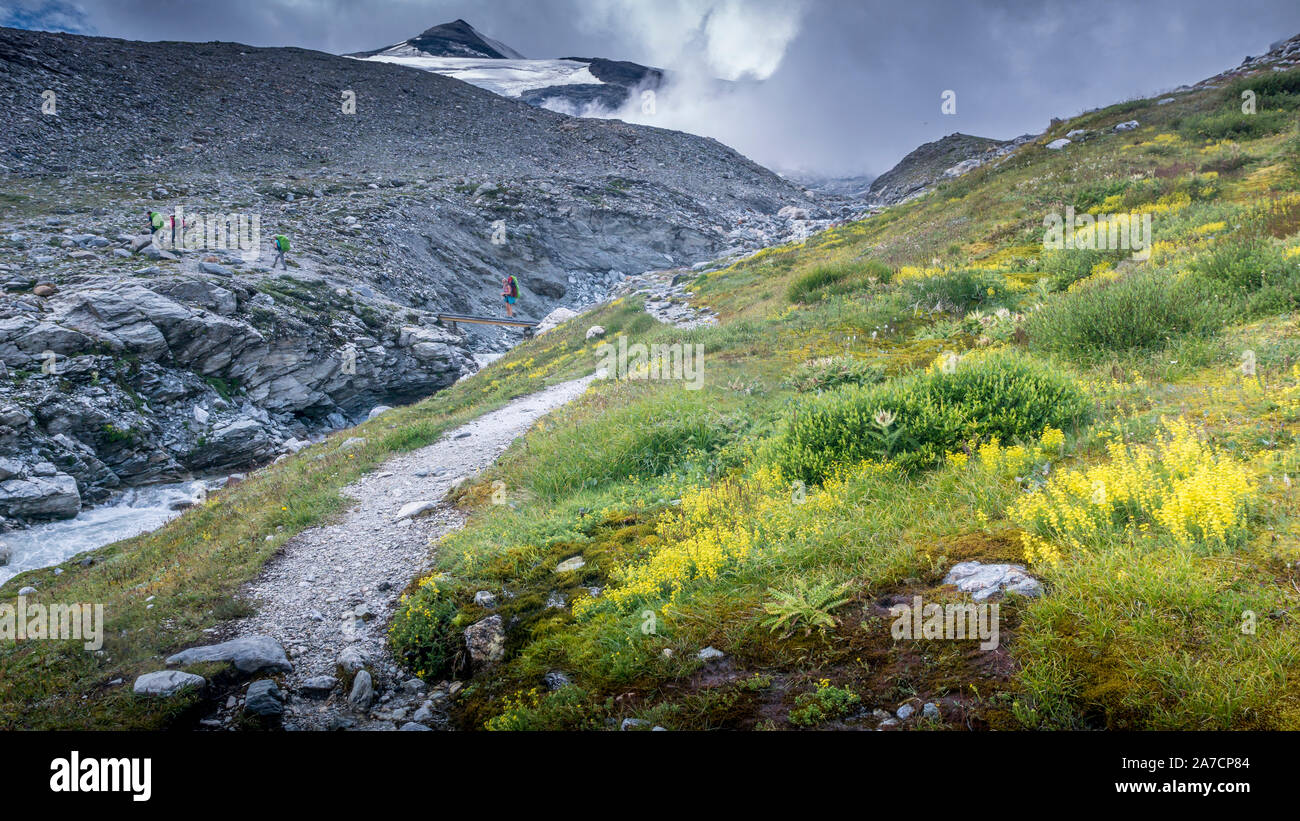 Gr5 Trail High Resolution Stock Photography and Images - Alamy