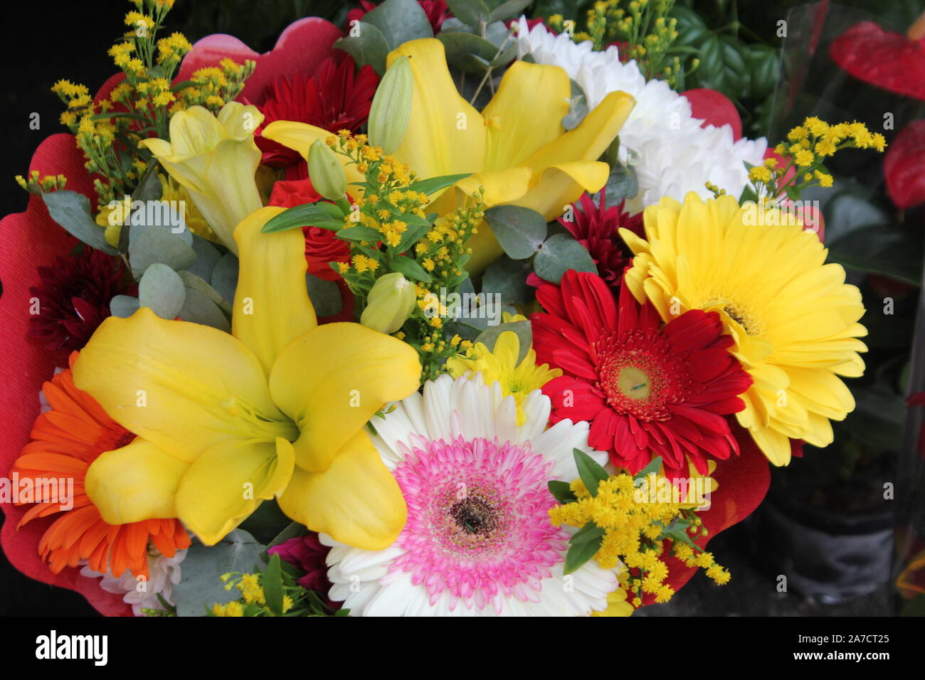 Beautiful colorful flowers image Stock Photo - Alamy