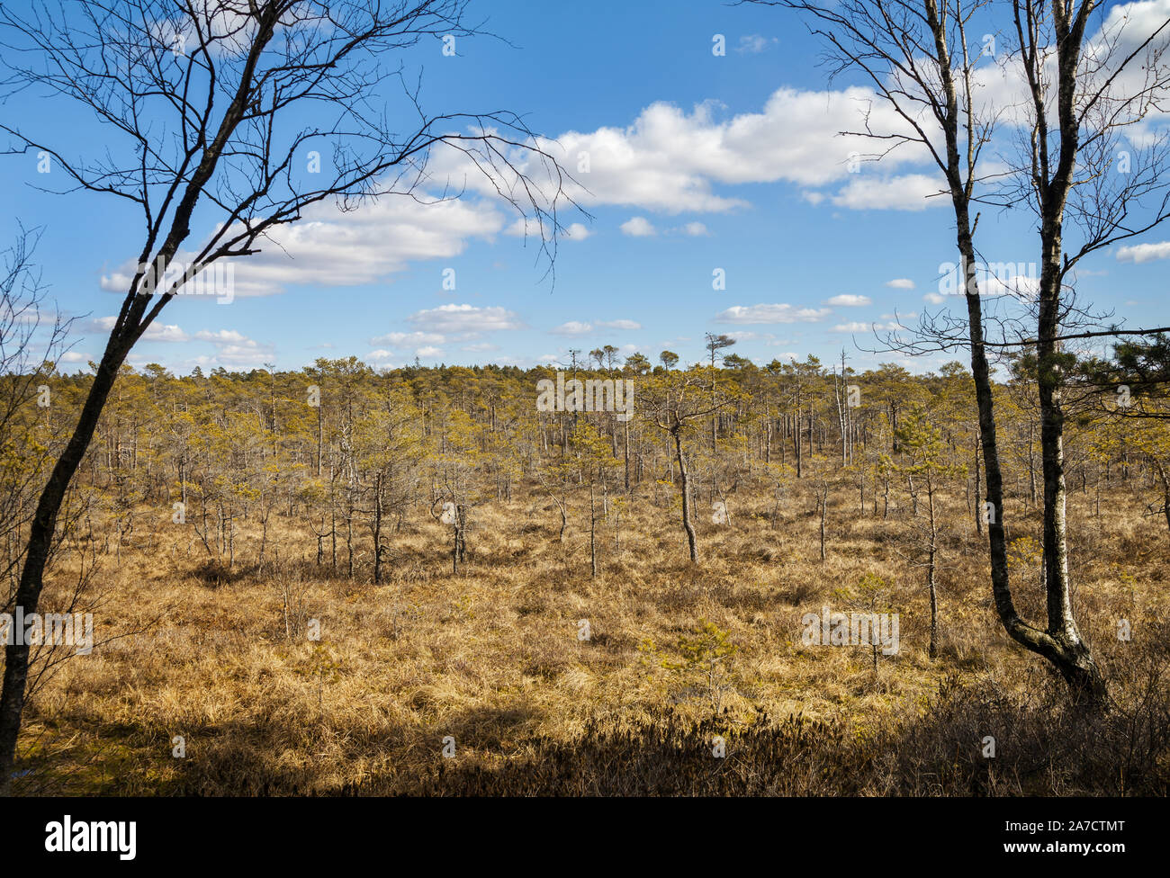 Poor ecosystem hi-res stock photography and images - Alamy